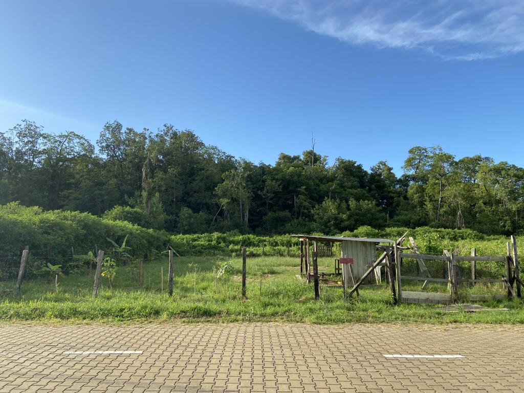 Suri Village III | Remy Vastgoed