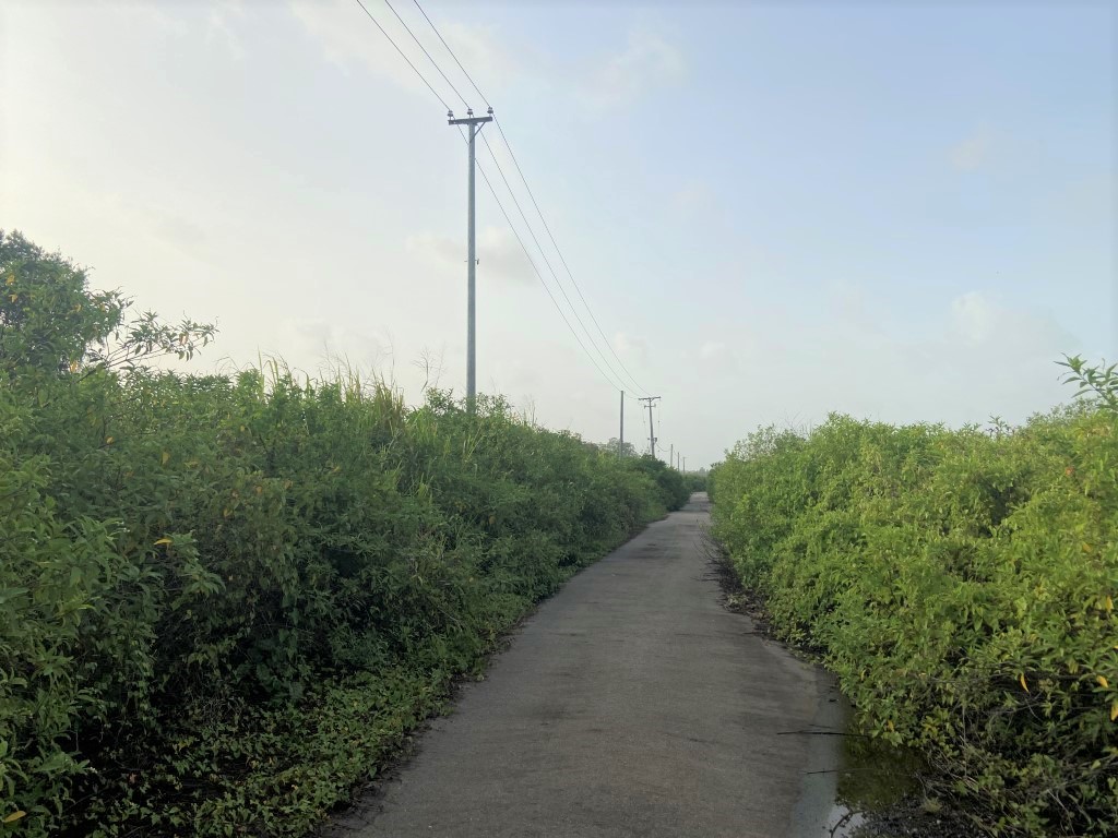 Sabaku Village | Remy Vastgoed